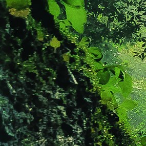Malvis ® Tapeta Vodopád v tropickém lese Thajsko Vel. (šířka x výška): 504 x 310 cm