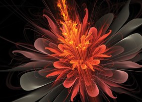 Malvis ® Tapeta Ohnivá květina Vel. (šířka x výška): 432 x 290 cm