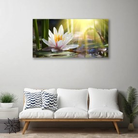 Obraz na plátně Vodní Lilie Slunce Rybník 100x50 cm