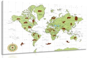 Obraz mapa se zvířaty - 120x80 cm