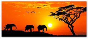 Obraz na plátně, Afrika Západ slunce Sloni - 120x40 cm