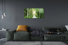 Obrazy na plátně Bříza lesní cesta 120x60 cm