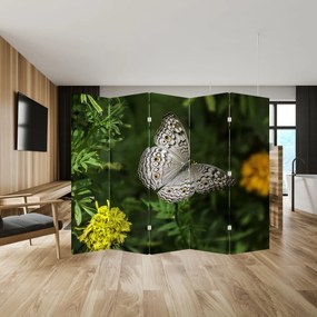 Paraván - Bílý motýl (210x170 cm)