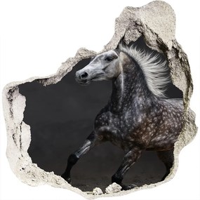 Wallmuralia Díra 3D fototapeta na stěnu Šedý arabský kůň 75x75 cm