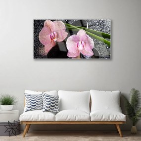 Obraz na skle Květiny Orchidej Kameny Zen 140x70 cm