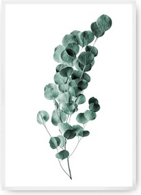 Plakát Eucalyptus Emerald Green