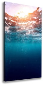 Wallmuralia Vertikální Vertikální Foto obraz na plátně do obýváku Pod vodou 50x100