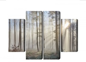 Vícedílný obraz Východ Slunce V Lese Nedostatek Nedostatek Plátno Canvas 200x150