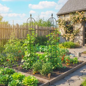 Zahradní podpěra pro popínavé rostliny sada 2 ks 174 cm obelisk Ocelová podpěra pro popínavé rostliny Odnímatelná podpěra pro popínavé rostliny Růže