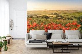 Fototapeta Poppy Field Omyvatelný vlies 520x318