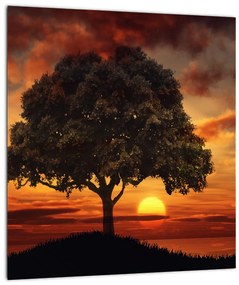 Obraz stromu se západem slunce (30x30 cm)