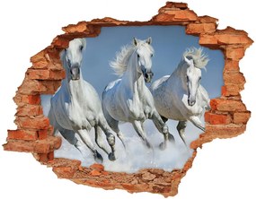 Wallmuralia Fototapeta díra na zeď Koně ve cvalu 90x70 cm