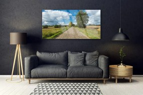 akrylový obraz Vesnice Cesta Dlažba Krajina 120x60 cm