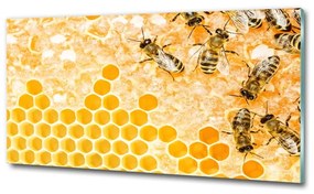 Wallmuralia Fotoobraz na skle Pracující včely 100x50