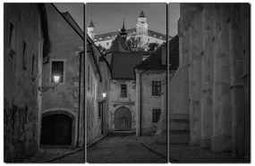 Obraz na plátně - Bratislava staré město s hradem vzadu 1265QB (90x60 cm  )