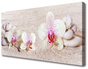 Obraz na plátně Orchidej Kameny Zen Písek 100x50 cm