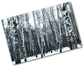 Wallmuralia Kuchyňská deska velká skleněná Břízy zimou 80x52 cm