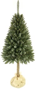 Vánoční stromek Smrk ledový na pníku 220 cm
