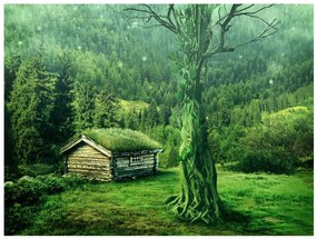 Fototapeta - Green seclusion