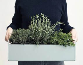 Ferm Living Truhlík na květiny Plant Box Small, Black