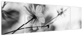 Obraz - Černobílé květiny (170x50 cm)