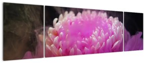 Obraz květiny v růžovém dýmu (170x50 cm)