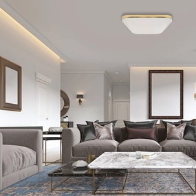Stropní LED svítidlo Nemo, 1x LED 17w, 4000k, g