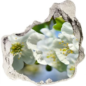 Wallmuralia Samolepící díra nálepka Květ višně 75x75 cm