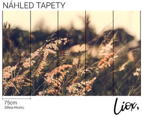 Tapeta luční květiny na louce