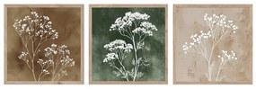 Obrazy v sadě 3 ks 30x30 cm Floral Imprint – Styler