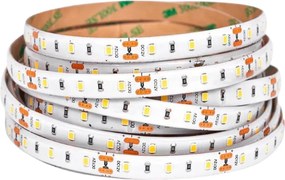 LED Solution LED pásek 12W/m 12V s krytím IP54 Barva světla: Studená bílá 07706
