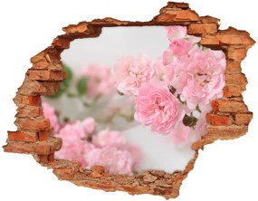 Wallmuralia Samolepící nálepka na zeď Divoké růže 90x70 cm