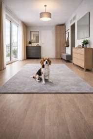 Vopi, Kusový koberec Eton šedý 73, 50x80, šedá, chodba / předsíň