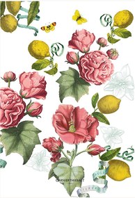 Sada utěrek ze lnu a bavlny Citrons De Menton Romance, 4 díly