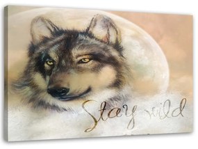 Obraz na plátně Vlk Zvíře Příroda Béžová - 90x60 cm