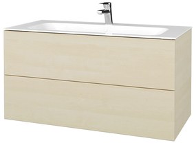 Dřevojas Koupelnová skříň VARIANTE SZZ2 100 Varianta: N01 Bílá lesk / D15 Nebraska