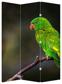 Paraván - Papoušek na větvi (126x170 cm)