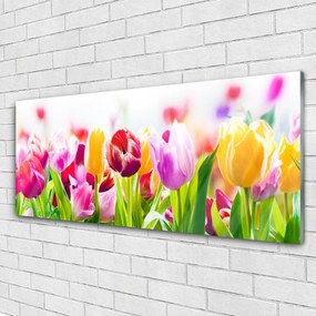 akrylový obraz Tulipány Květiny 125x50 cm