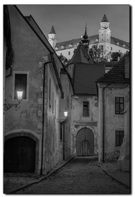 Obraz na plátně - Bratislava staré město s hradem vzadu- obdélník 7265QA (90x60 cm  )