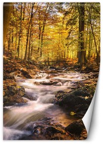 Gario Fototapeta Podzimní vodopád Materiál: Vliesová, Rozměry: 100 x 140 cm