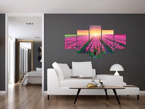 Obraz pole tulipánů se sluncem (125x70 cm)