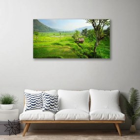 Obraz na plátně Louka Příroda 140x70 cm