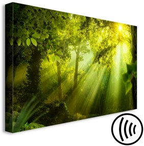 Obraz Ve slunečním svitu (1-dílný) úzký - pohádková zelená lesní krajina