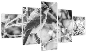 Obraz - Modrý pták v zimě (125x70 cm)