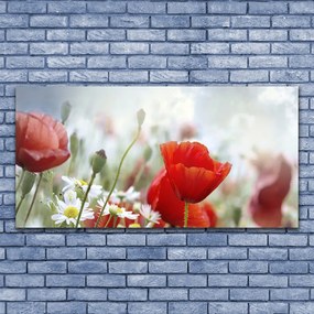 Obraz na plátně Květiny Plátky Rostlina 100x50 cm