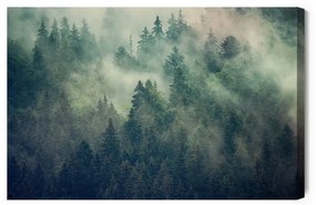 Obraz Misty Landscape With Fir Forest In Hipster Vintage Retro Style Nedostatek Nedostatek Plátno Canvas 70x50