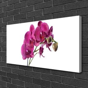 Obraz na plátně Orchidej Květiny Příroda 125x50 cm