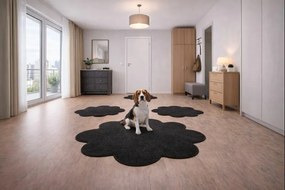 Vopi, Kusový koberec Eton černý květina, 120x120 kytka, černá, ložnice