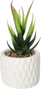Dekorace Sansevieria 12cm