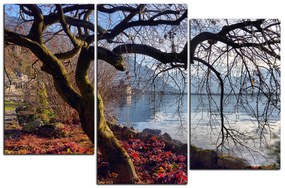 Obraz na plátně - Podzim u jezera 1198D (120x80 cm)